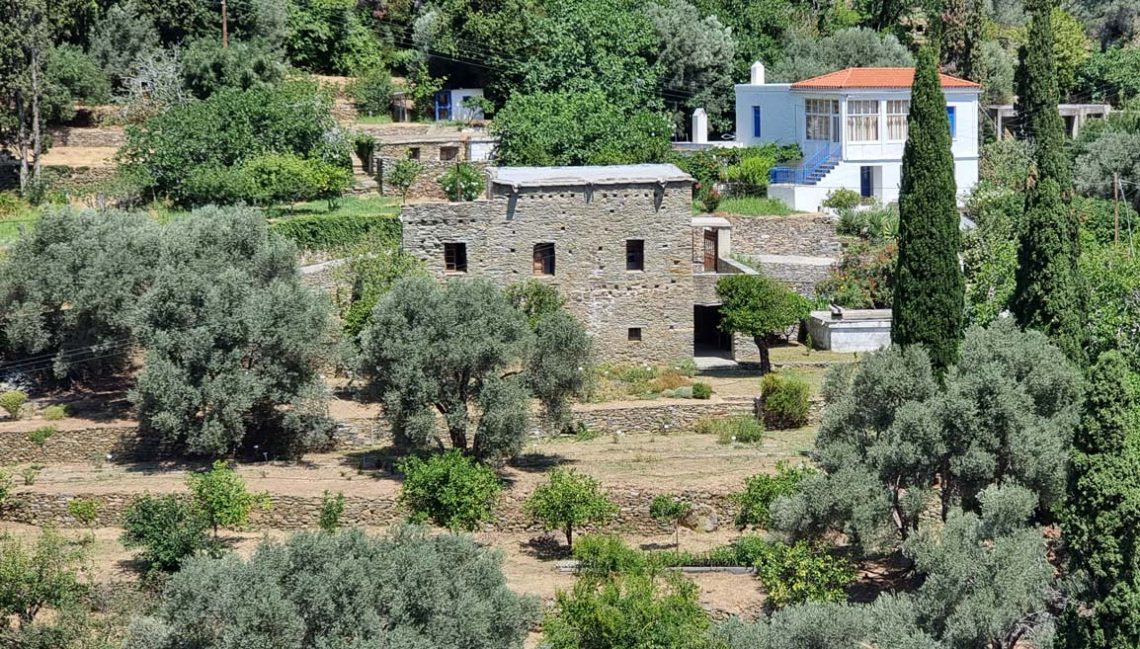 Ο βοτανικός κήπος της Άνδρου στ΄ Απατούρια - Ο Περίγυρος της ...